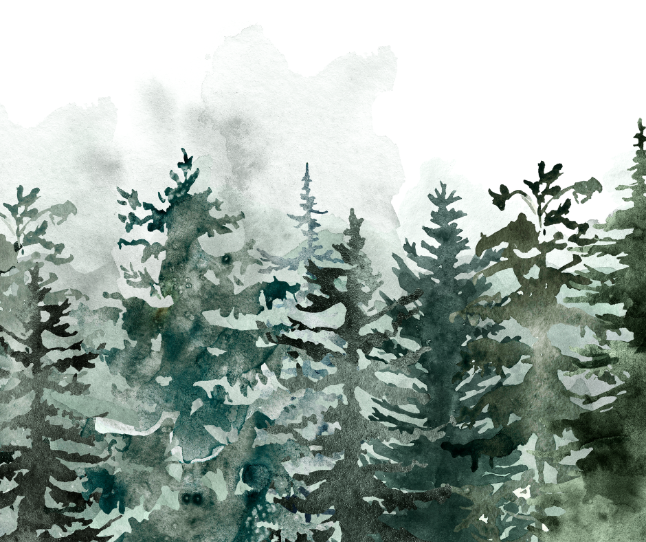 The Forest - Yoga Teacher Journey The Forest - Yoga Teacher Journey